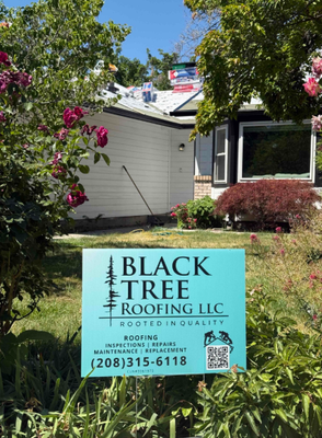 BLACK TREE ROOFING - Updated June 2026 - 66 Photos - 233 W State St ...