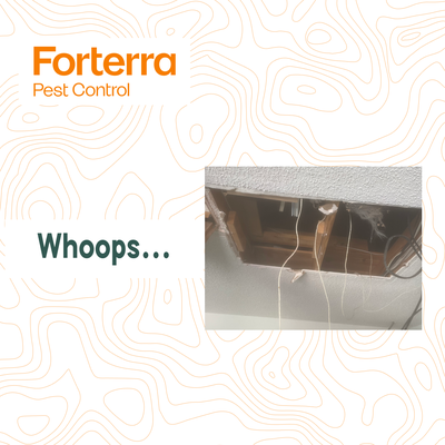 FORTERRA PEST CONTROL - Updated December 2025 - 32 Photos & 26 Reviews ...