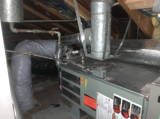 BREATHABLE - 1022 Photos & 708 Reviews - San Francisco, California ...