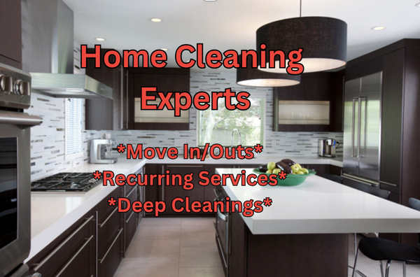 EUROPEAN MORE THAN HOUSE CLEANING - Updated November 2024 - 55 Photos ...