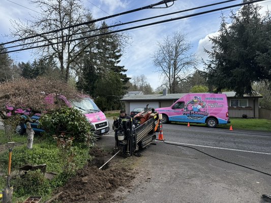 PINK FLAMINGO PLUMBING - Updated May 2026 - 23 Photos & 23 Reviews ...