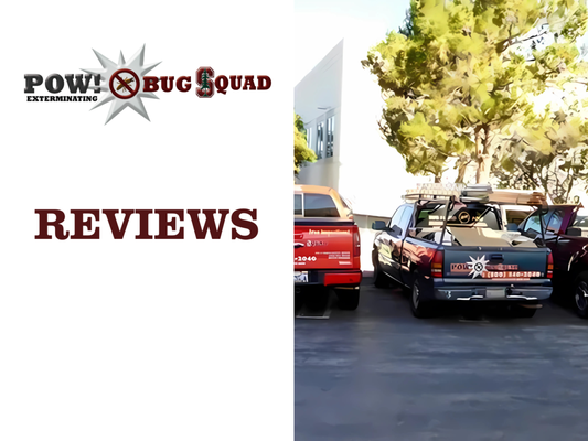 POW! BUG SQUAD - Updated January 2026 - 96 Photos & 107 Real Reviews ...