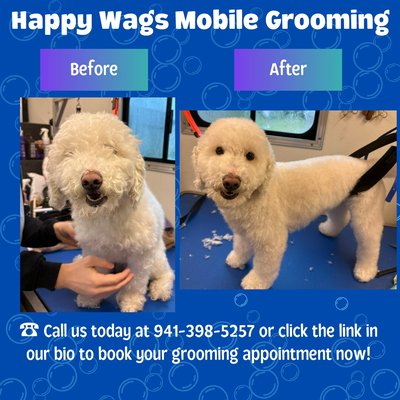 HAPPY WAGS MOBILE GROOMING - Updated August 2025 - 47 Photos - Palmetto ...