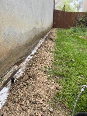 X OUT PEST SERVICES - Updated January 2026 - 67 Photos & 211 Reviews ...