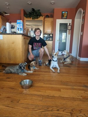 HARNESSING POTENTIAL DOG TRAINING - Updated June 2025 - 140 Photos & 21 ...