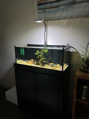 AXOLOTL PLANET - Updated January 2025 - 1805 Royal Ln, Dallas, Texas ...