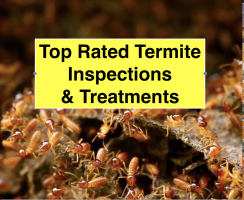 HI-TECH TERMITE CONTROL - Updated May 2025 - 52 Photos & 78 Reviews ...