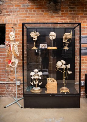 THE BONE MUSEUM - 16 Photos - 255 McKibbin St, New York, New York ...