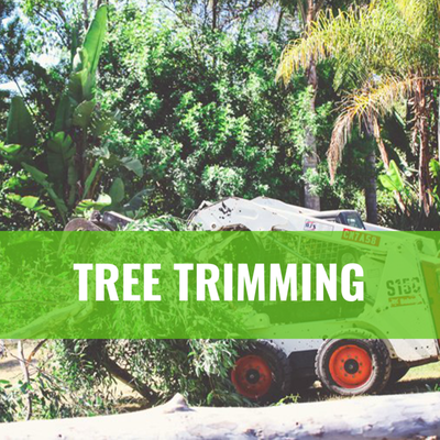 LC TREE SERVICE - Updated December 2025 - 132 Photos & 111 Reviews ...