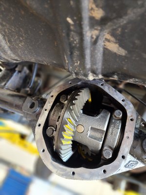 GEARS TRANSMISSION - Updated July 2025 - 133 Photos - 955 Scruggs Rd, Ringgold, Georgia, United ...