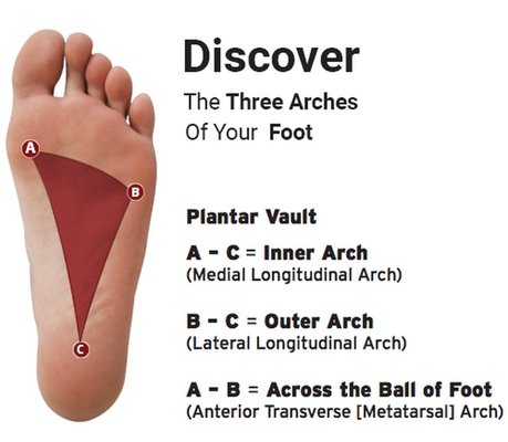 THE SHOE DOCTOR - RUSSELL PATE - Updated January 2026 - 585 Photos & 54 ...