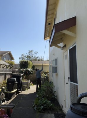 HERO HOME AND PEST SERVICES - Updated May 2026 - 17 Photos & 53 Reviews ...