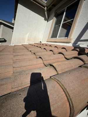CASAS ROOF - Updated June 2026 - 150 Photos & 26 Reviews - 1738 Yale ...