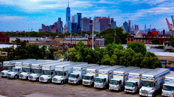 EXCELLENT QUALITY MOVERS - Updated August 2025 - 239 Photos & 704 ...