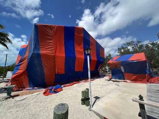 BYE BYE TERMITES PEST CONTROL - Updated January 2026 - 60 Photos & 17 ...