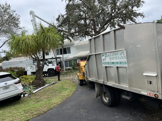 FRITZ LANDSCAPING - Updated August 2025 - 73 Photos - Boca Raton ...