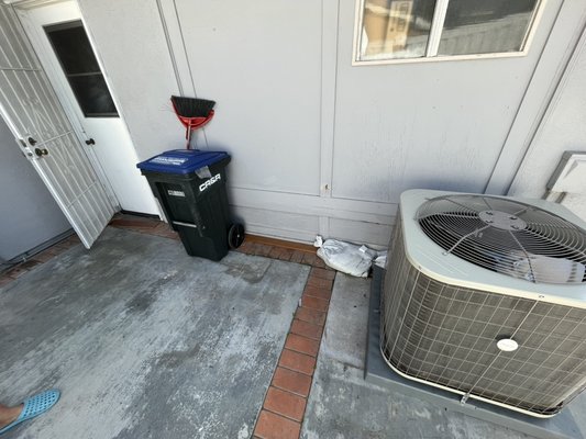 BETTER GREEN - Updated January 2026 - 177 Photos & 26 Verified Reviews ...