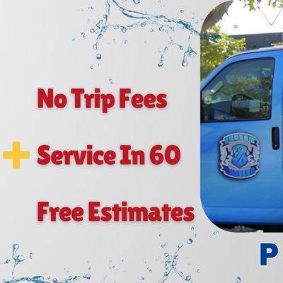 ELITE ROOTER - Updated December 2024 - 63 Photos & 142 Reviews - 319 E ...