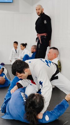 STEPS BRAZILIAN JIU JITSU - Updated January 2025 - 15 Photos - 13635 Burbank Blvd, Sherman Oaks ...