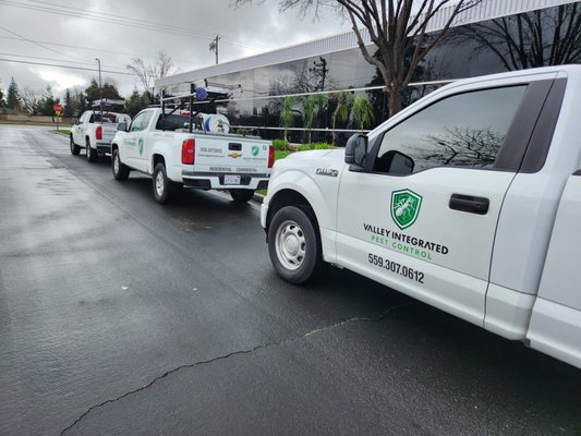 VALLEY INTEGRATED PEST CONTROL - Updated May 2026 - 64 Photos & 60 ...