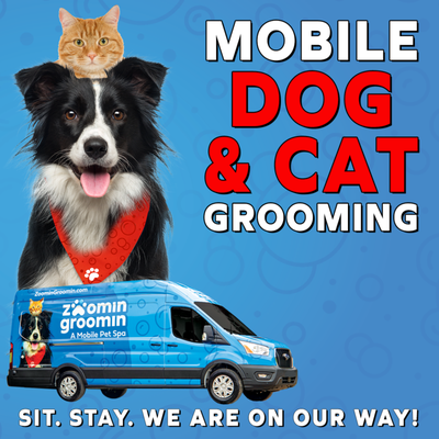 ZOOMIN GROOMIN - Updated November 2025 - 162 Photos & 16 Reviews - Fort ...