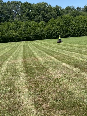 TONY LANDSCAPING - Updated September 2024 - Charlotte, North Carolina ...