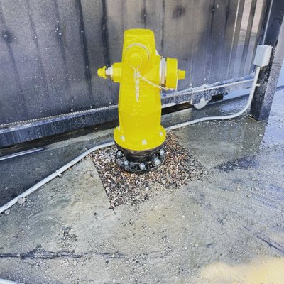 BLACK BIRD FIRE PROTECTION INC - Updated December 2025 - 571 Photos ...