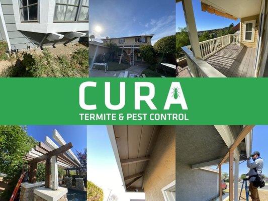 CURA TERMITE & PEST CONTROL - Updated June 2026 - 63 Photos & 113 ...