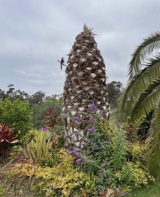 PENA TREE SERVICE - Updated December 2025 - 186 Photos & 286 Reviews ...