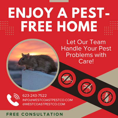 WEST COAST PEST CONTROL - Updated June 2026 - 97 Photos & 274 Reviews ...