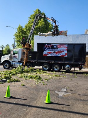 CUT RITE TREE SERVICE - Updated May 2024 - 277 Photos & 45 Reviews - Yelp