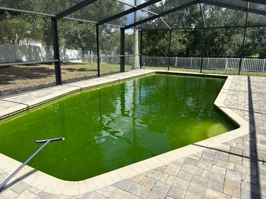 AQUA MASTERS POOL SERVICES - Updated December 2025 - Tampa Bay, Florida - Pool Cleaners - Phone ...