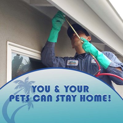 PACIFIC COAST TERMITE - 26 Photos & 209 Reviews - 1211 N Batavia St ...