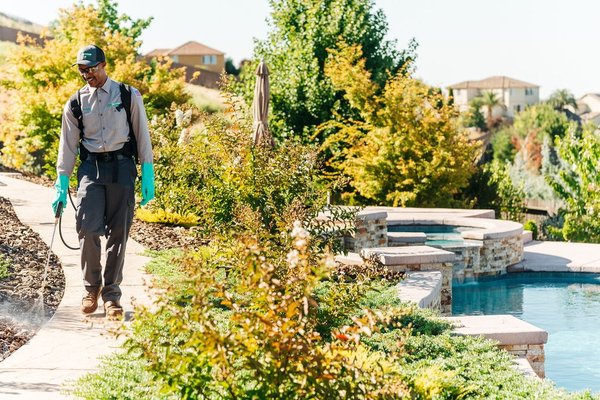 PRO ACTIVE PEST CONTROL - Updated December 2025 - 31 Photos & 220 ...