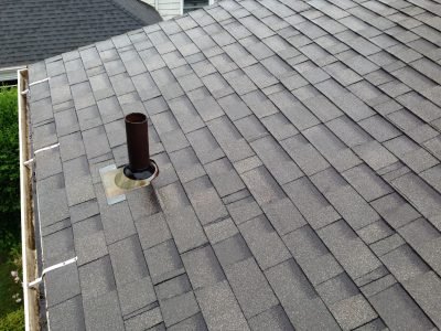 MOSS BUSTERS - Updated December 2025 - 65 Photos & 236 Reviews - 10367 ...