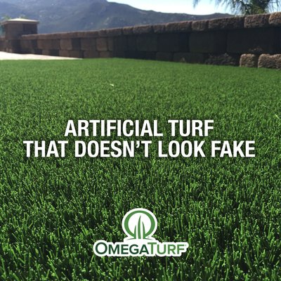 OMEGATURF - Updated January 2026 - 214 Photos & 95 Reviews - La Mesa ...