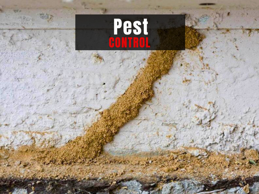 TERMIKE PEST CONTROL - Updated April 2026 - 97 Photos & 69 Reviews ...