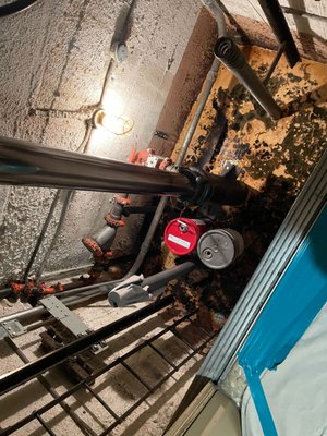 READY RESTORE OC - Updated August 2025 - 36 Photos & 31 Reviews - 2771 ...