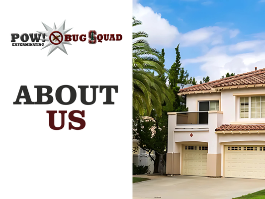 POW! BUG SQUAD - Updated January 2026 - 96 Photos & 108 Real Reviews ...