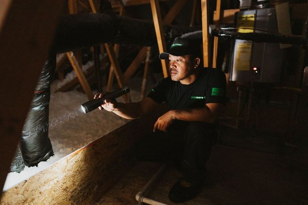 PRO ACTIVE PEST CONTROL - Updated January 2026 - 31 Photos & 218 ...