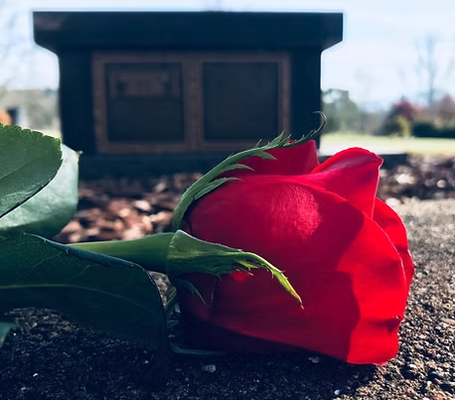 SANTA ROSA MEMORIAL PARK - Updated December 2025 - 77 Photos & 18 ...