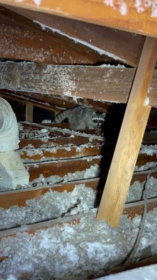 LEO HOME SOLUTIONS - Updated October 2025 - 75 Photos & 59 Reviews ...