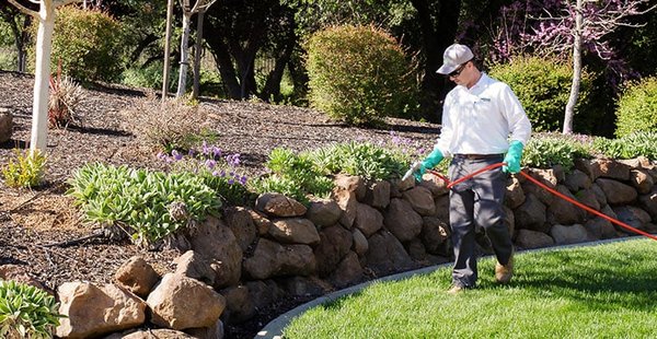 PRO ACTIVE PEST CONTROL - Updated December 2025 - 31 Photos & 220 ...