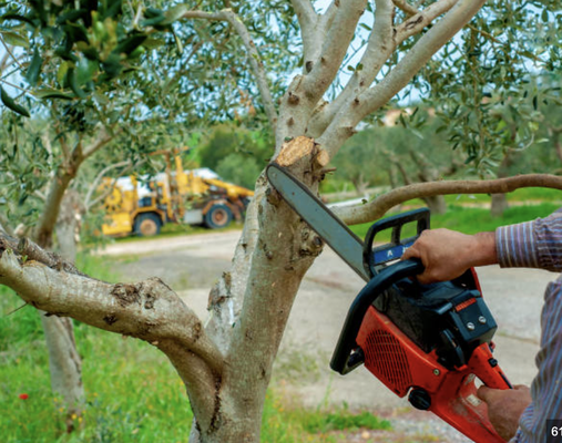 REY GENERAL CONTRACTORS - Updated December 2025 - 168 Photos & 10 ...