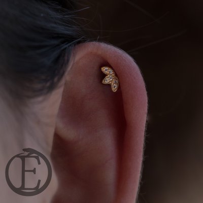 ENVY BODY PIERCING - Updated September 2025 - 398 Photos & 918 Reviews ...