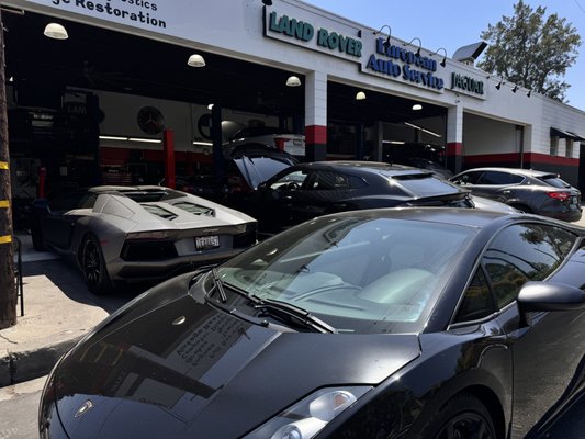 EUROPEAN AUTO SERVICE - Updated December 2025 - 160 Photos & 263 ...