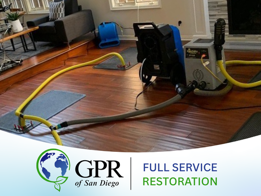 GREEN PLANET RESTORATION SAN DIEGO - Updated December 2025 - 219 Photos ...