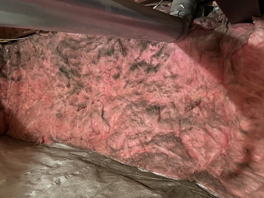 LEVEL UP INSULATION - Updated May 2026 - 77 Photos & 34 Reviews - 6850 ...