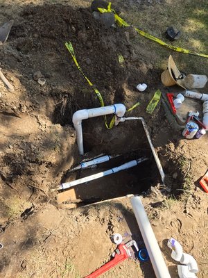 FALCON LANDSCAPE - Updated October 2025 - 24 Photos - 600 Geiger Grade ...