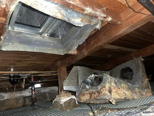 PRO INSULATION & RODENTS - Updated November 2025 - 264 Photos & 27 ...